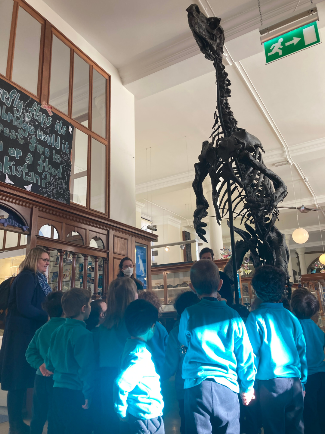 Pupils Visit Sedgwick Museum - News - Stephen Perse Early Years